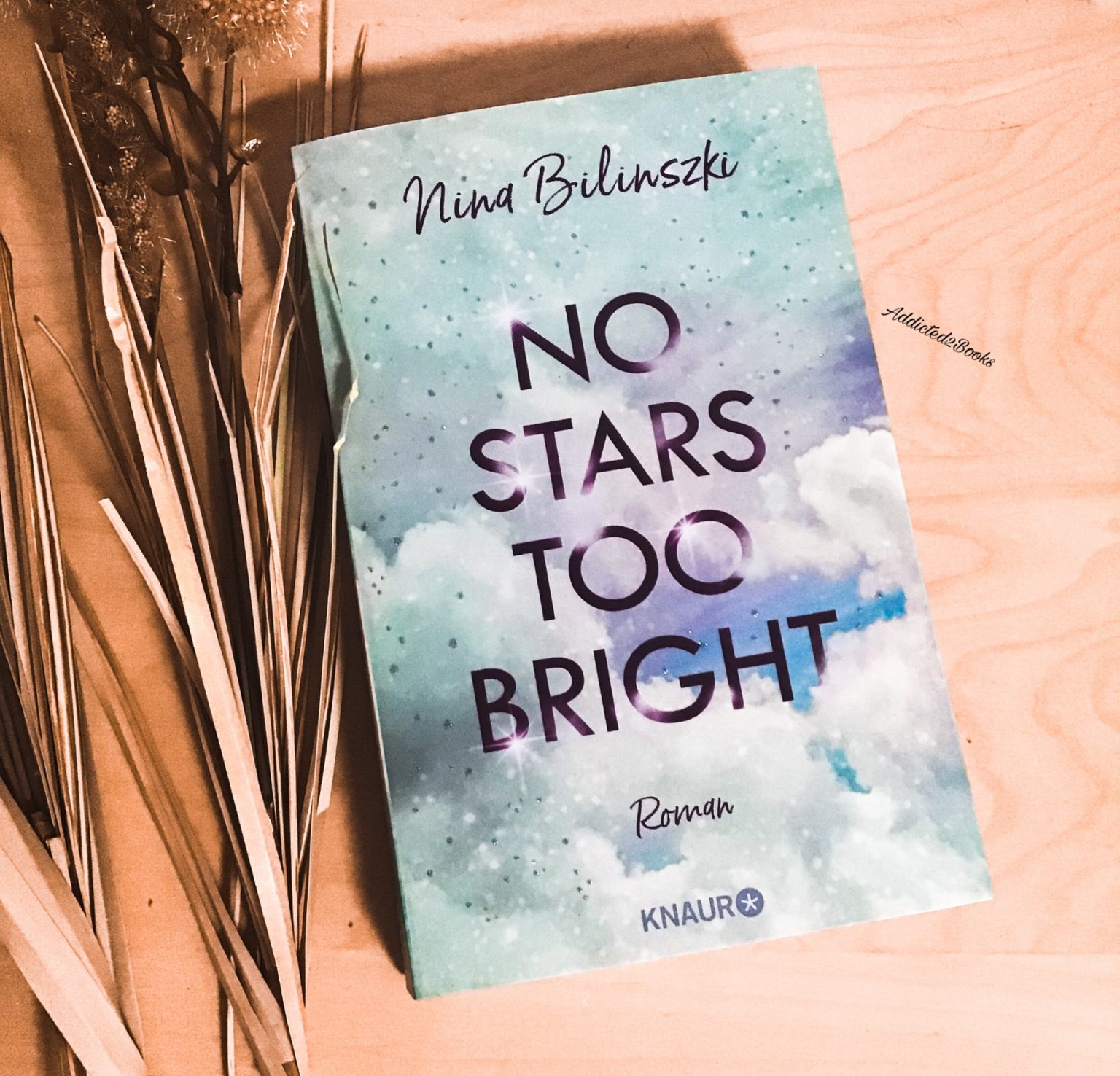 Rezension: No Stars Too Bright (Love Down Under Band 2) | Nina Bilinszki – Addicted2Books-Blog