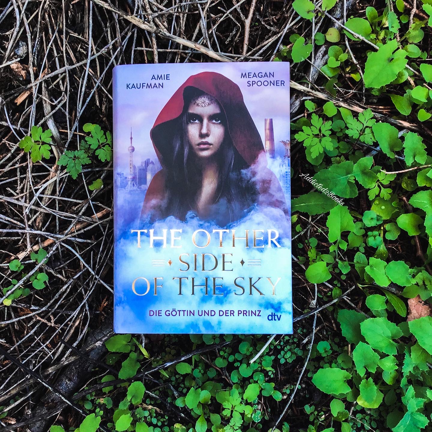 Rezension: The Other Side Of The Sky – Die Göttin und der Prinz | Amie ...