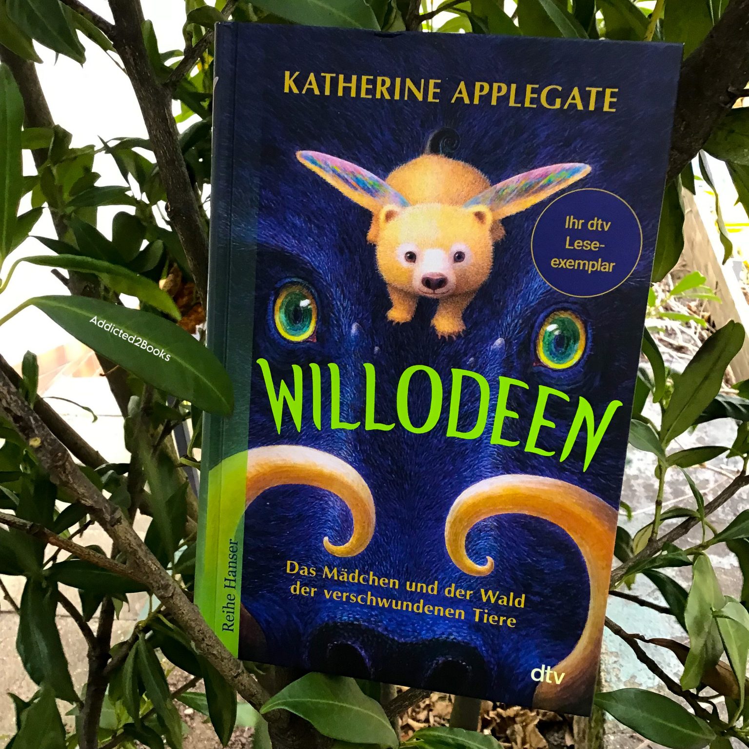 Willodeen – Das Mädchen und der Wald der verschwundenen Tiere ...