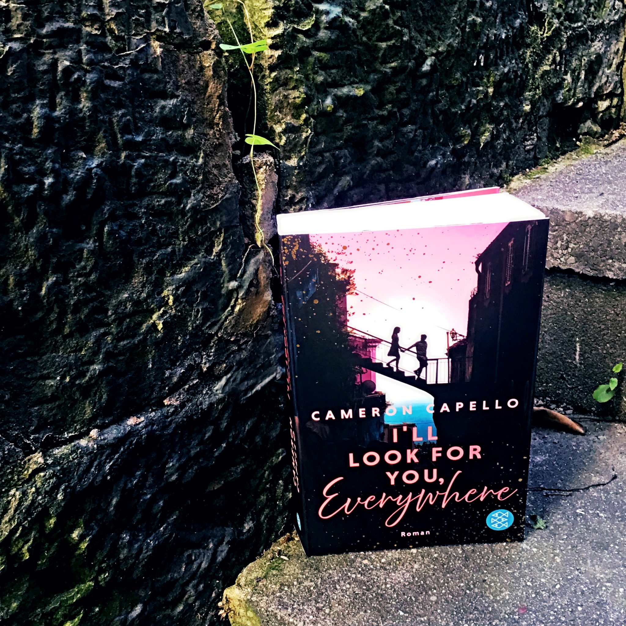 Rezension I‘ll Look for You; Everywhere – Addicted2Books-Blog